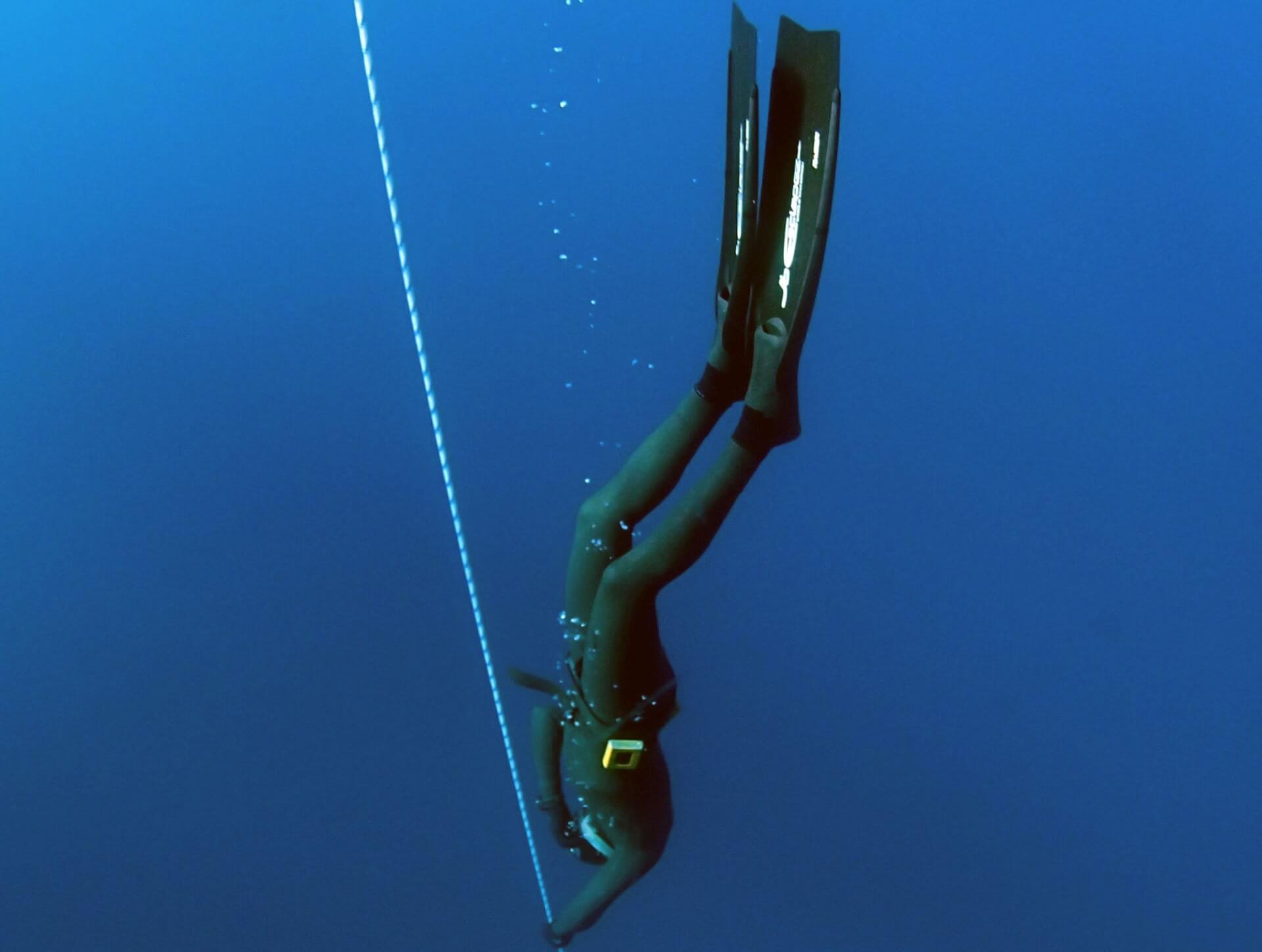 Freediving record holders - Polish and world diving records in breath ...